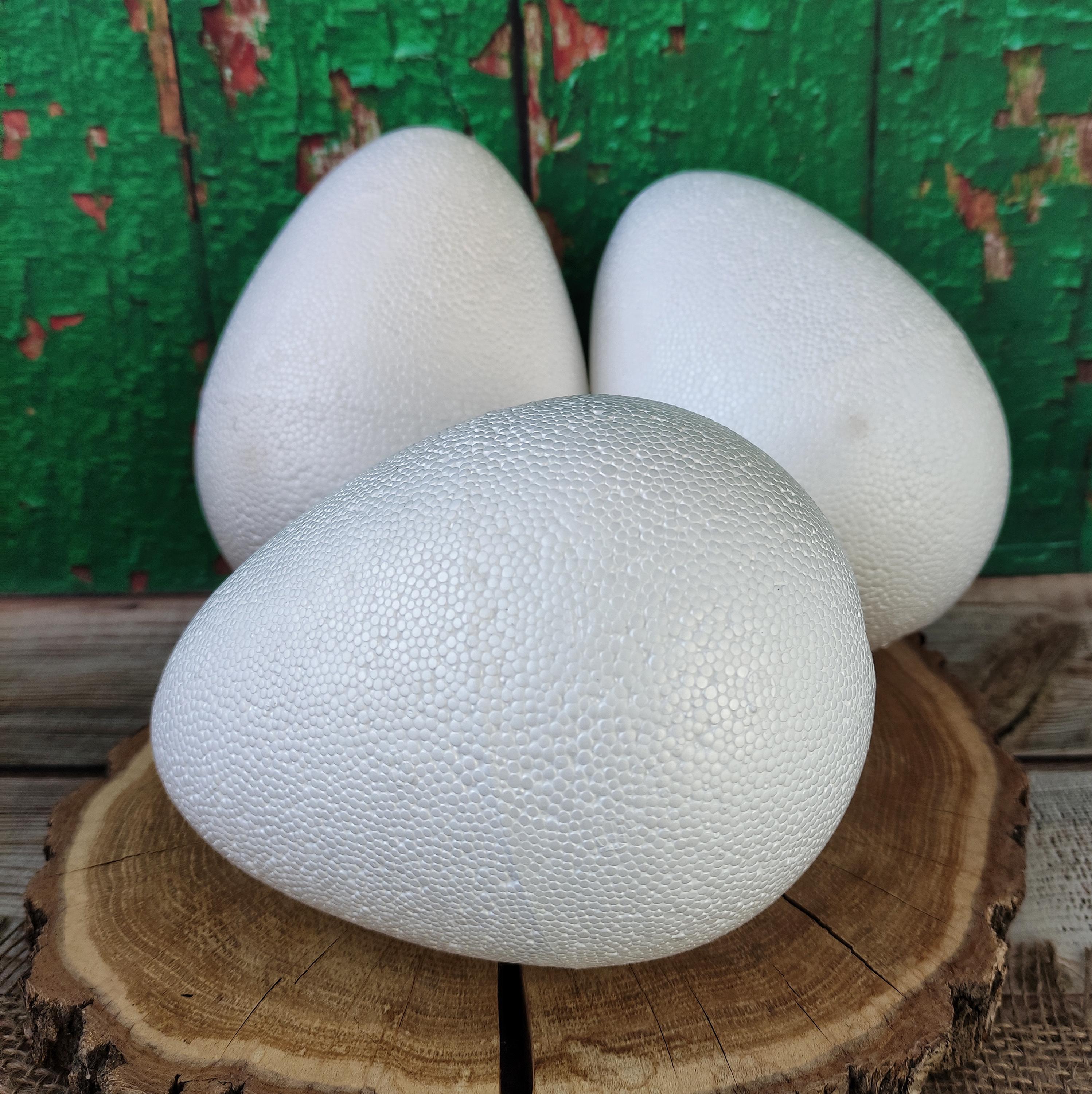 Extra Large Polystyrene Styrofoam Eggs 6 Inches in Sets of 3, 5, 10 ...