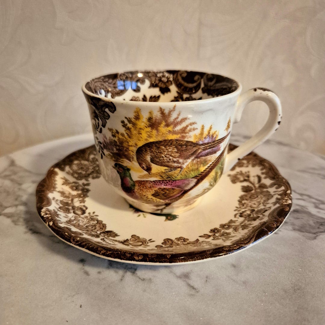 Cup and Saucer by Palissy England, Royal Worcester Group Game Series ...