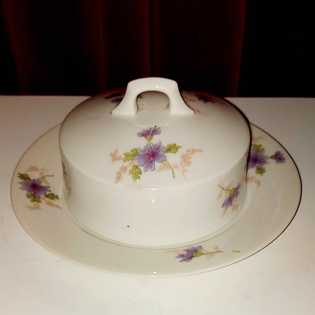 Beautiful Butter Dish 1920s Haas & Czjek Schlaggenwald Czechoslovakia ...