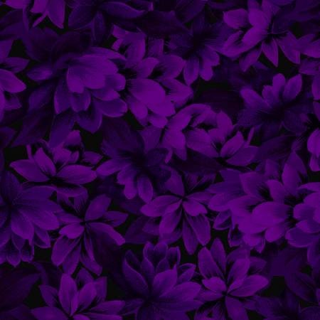 Floral Fantasy by Jinny Byer for RJR Fabrics 1 = 1/2 YARD - Etsy