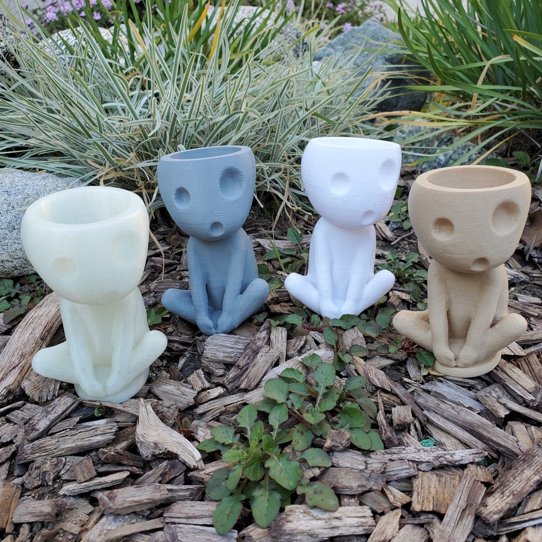 Kodama Planter, Tall Tree Spirit, Air Plant Holder, Succulent Plant Pot ...