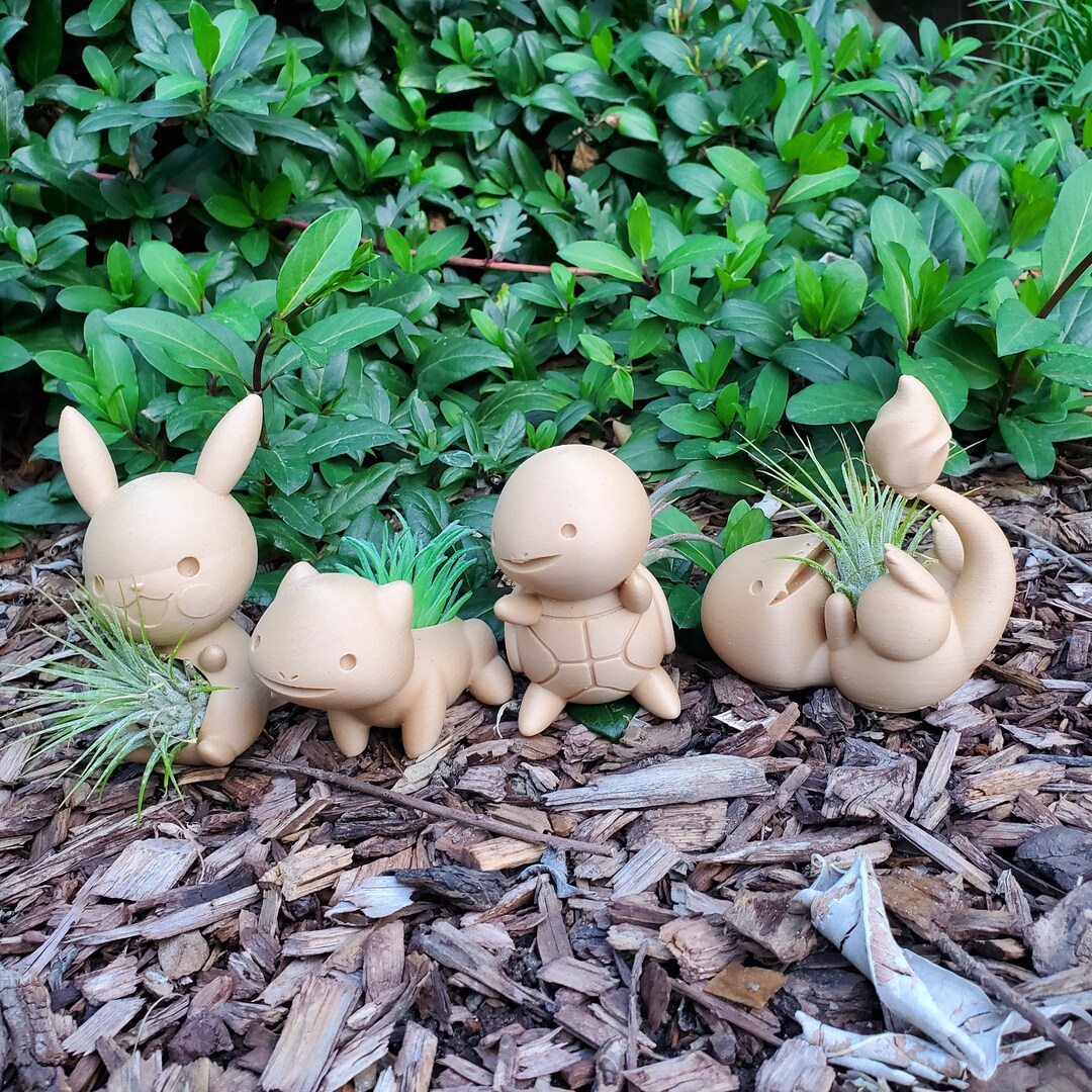 Pokémon Mini Planter Wood-like, Air Plant Holder, Tiny Planter, Cute ...