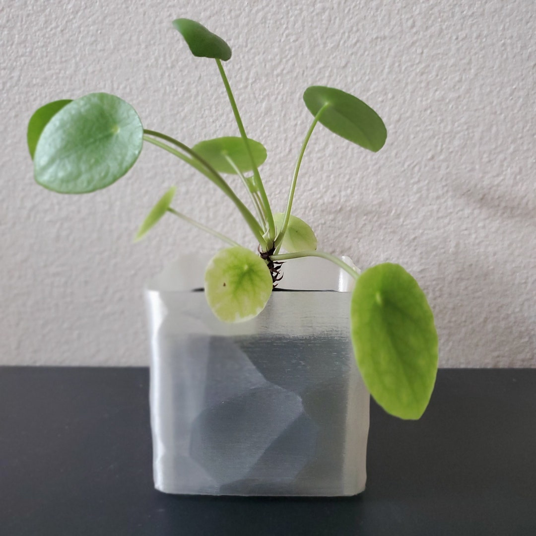 Clear Planter With Drip Tray, Square Shape Planter, Lightweight Indoor ...