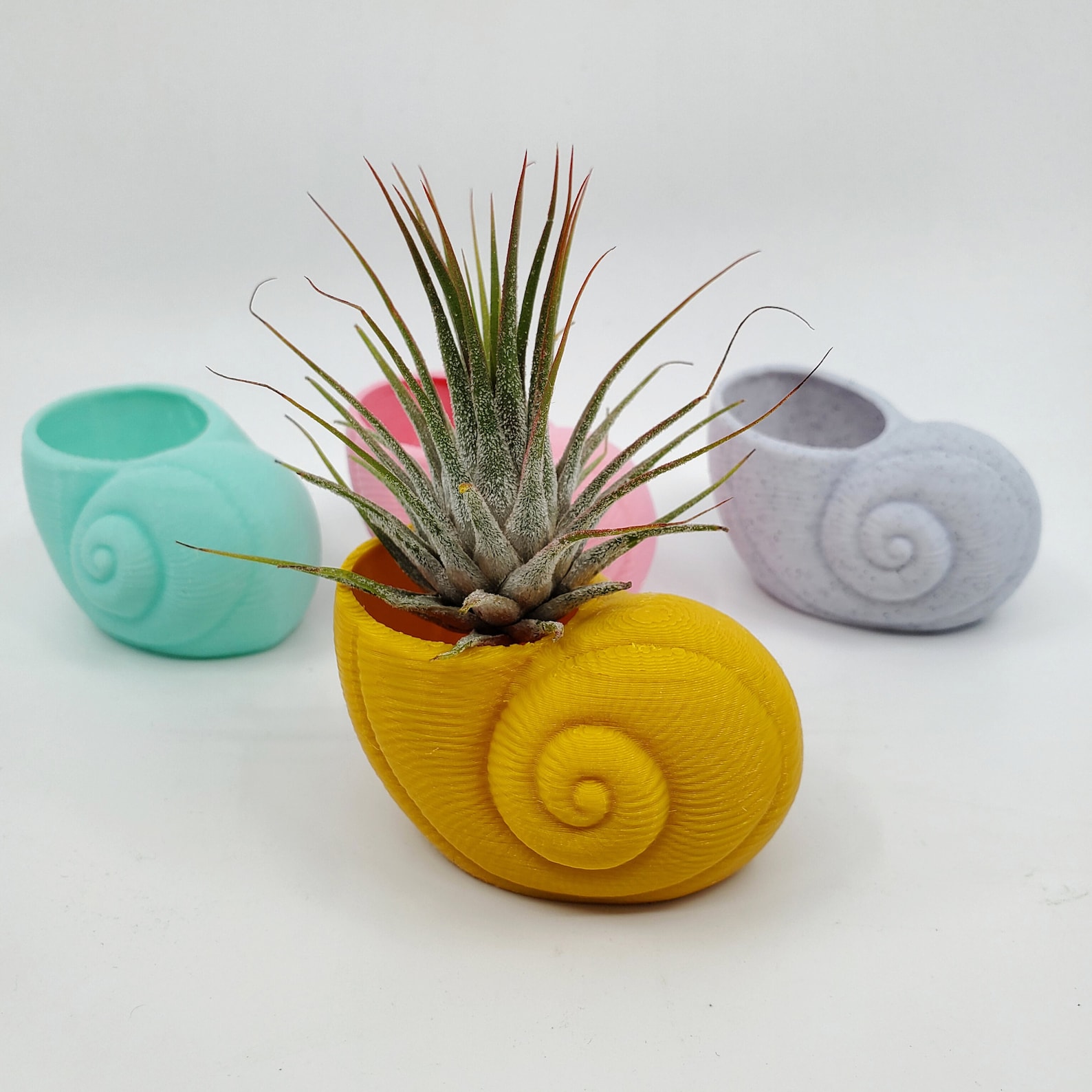 Seashell Shape Planter, Nautical Theme Planter, Small Indoor Plant Pot ...