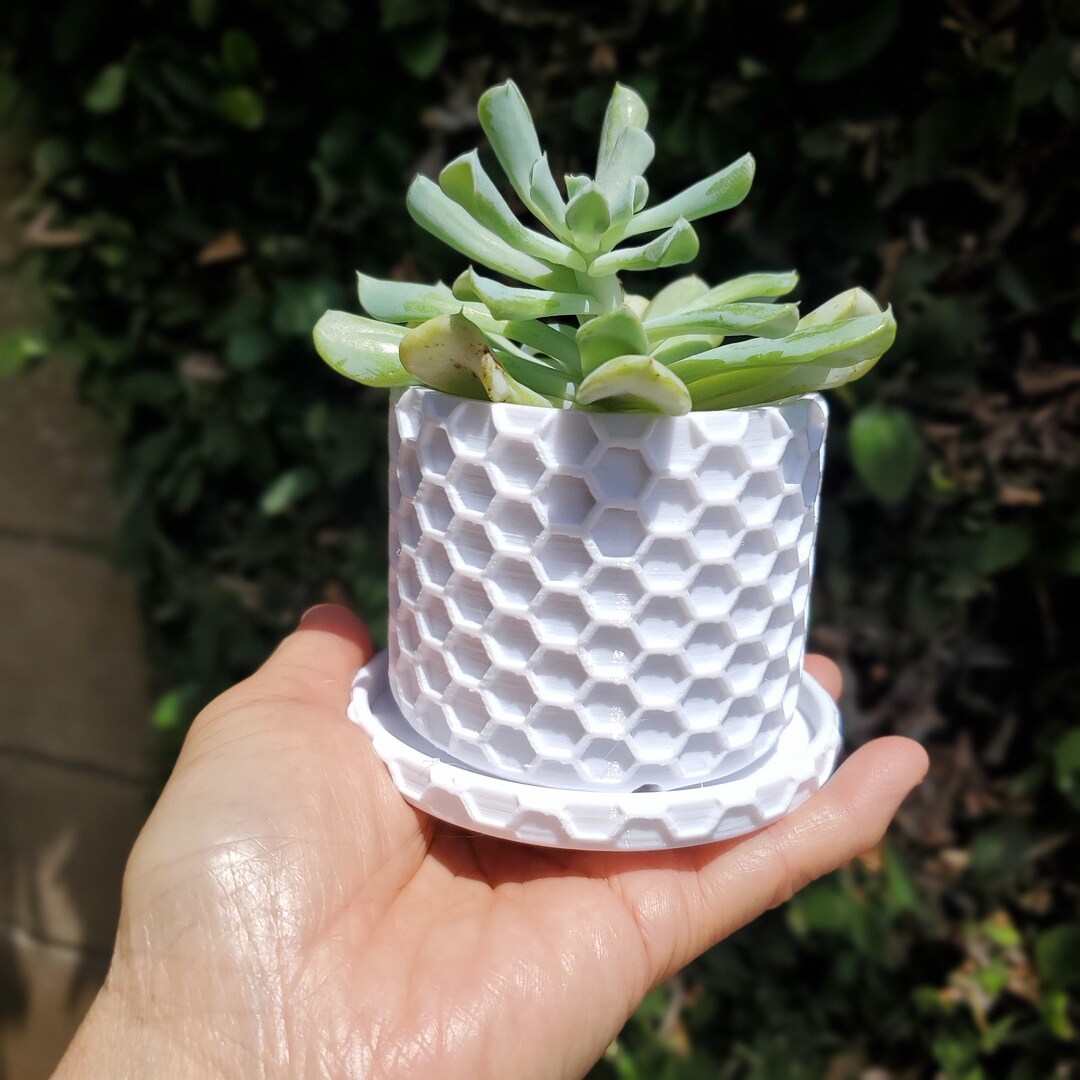 Honeycomb Planter: White Hexagonal Indoor Plant Pot With Drip Tray - Etsy