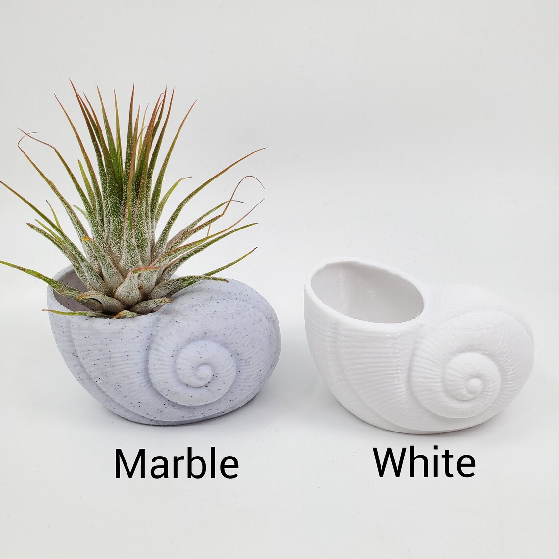 Seashell Shape Planter, Nautical Theme Planter, Small Indoor Plant Pot ...