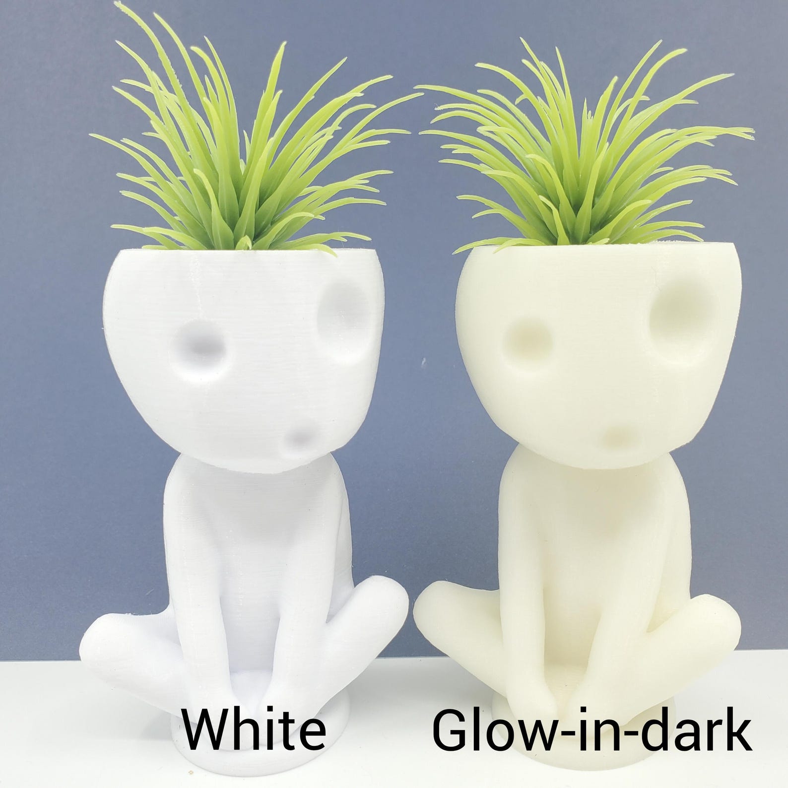 Kodama Planter, Tall Tree Spirit, Air Plant Holder, Succulent Plant Pot ...