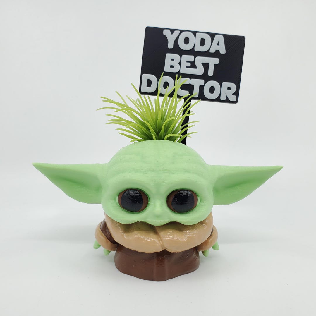 Yoda Best Doctor Air Plant Holder, Doctor Appreciation, Doctor ...
