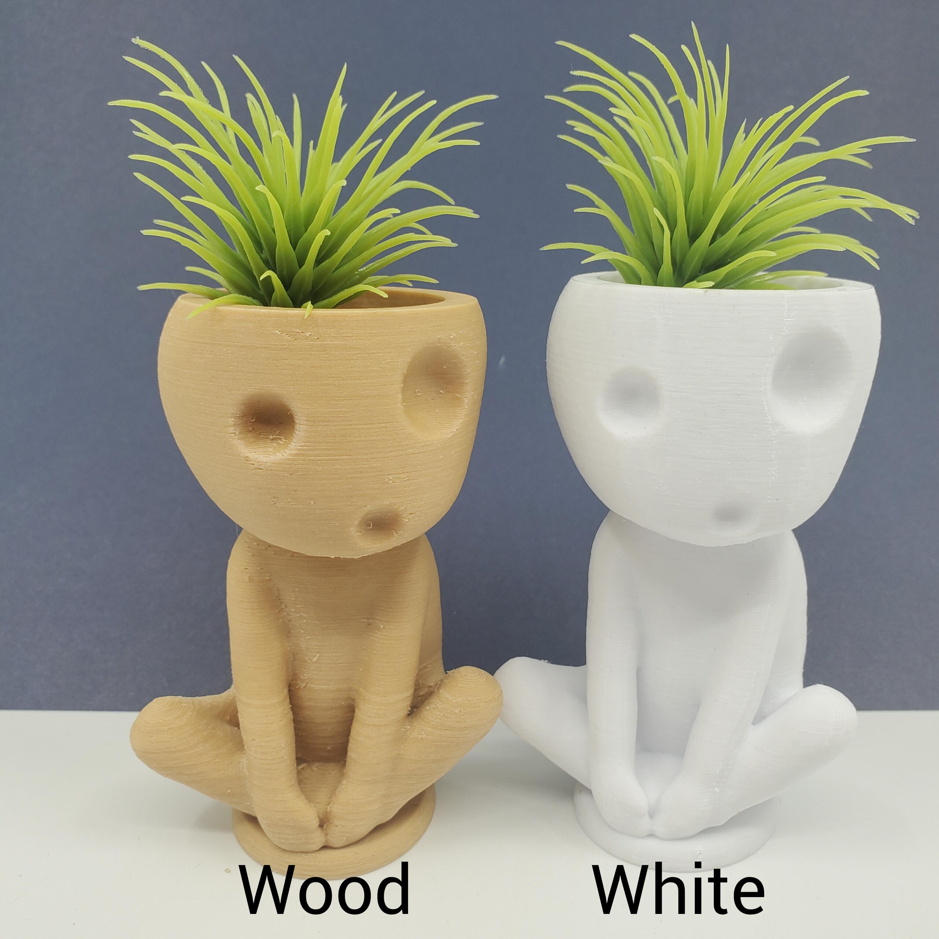 Kodama Planter, Tall Tree Spirit, Air Plant Holder, Succulent Plant Pot ...