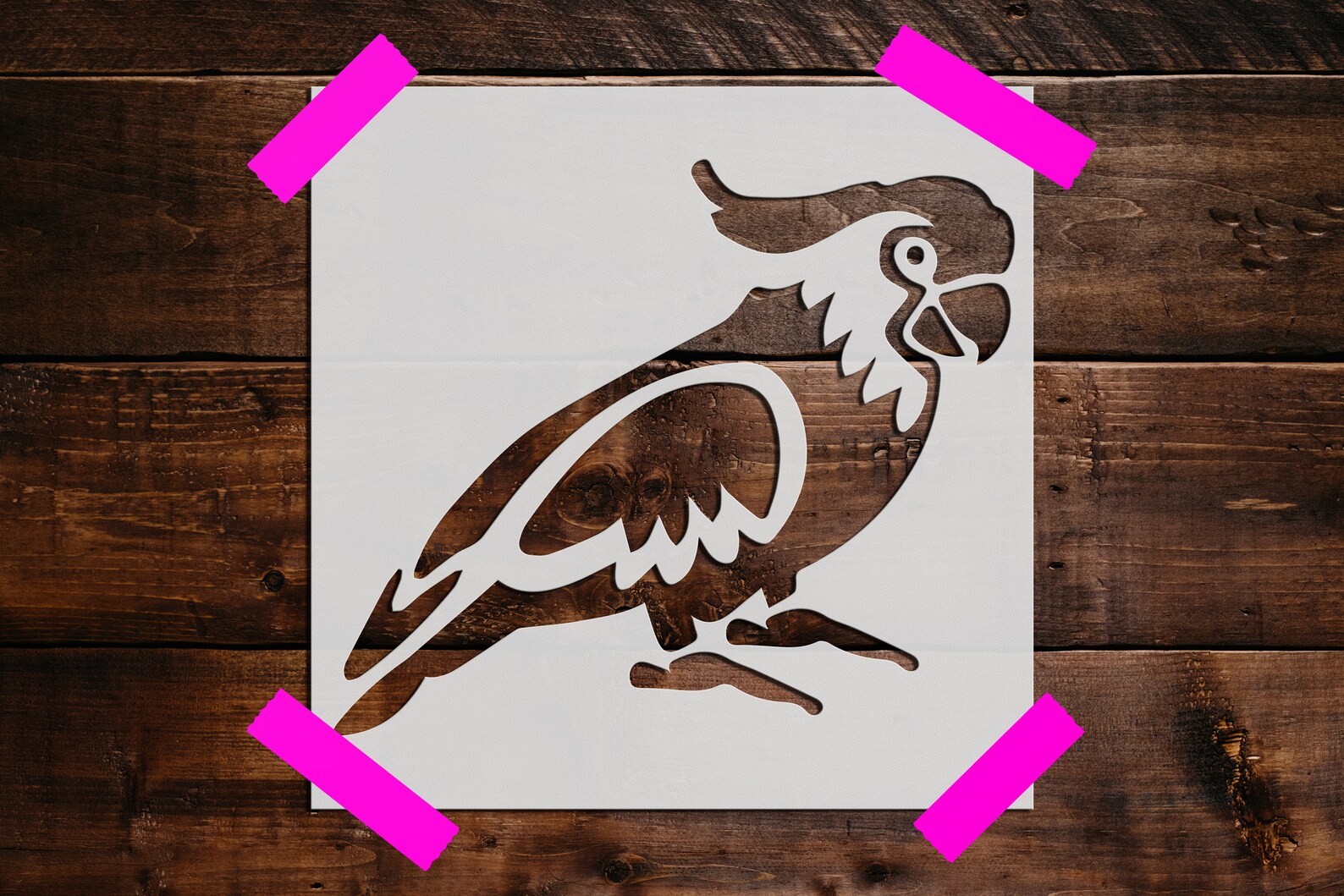 Parrot Stencil, Reusable Parrot Stencil, Art Stencil - DIY Craft ...