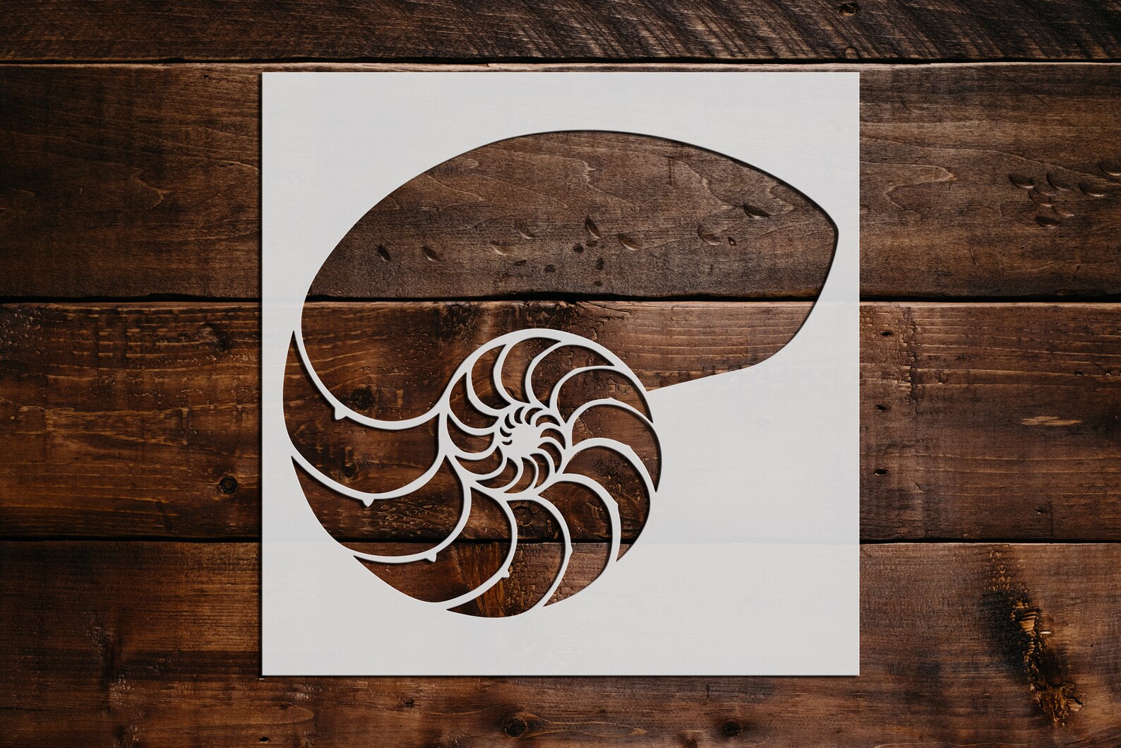 Seashell Stencil Reusable Seashell Stencil Art Stencil DIY - Etsy