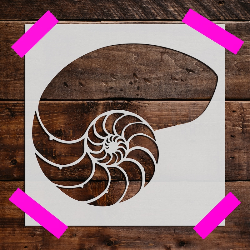 Large Seashell Wall Art - Etsy