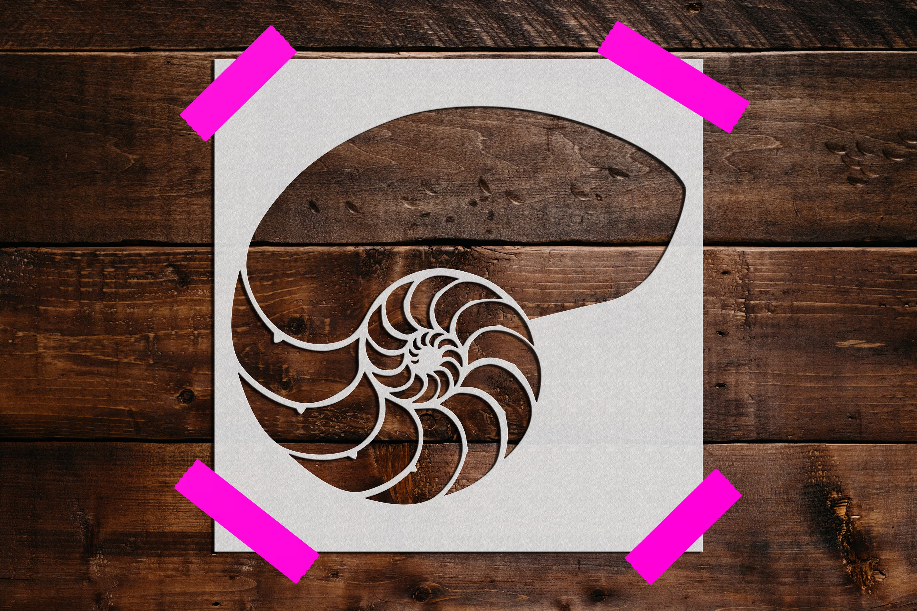 Seashell Stencil Reusable Seashell Stencil Art Stencil DIY - Etsy