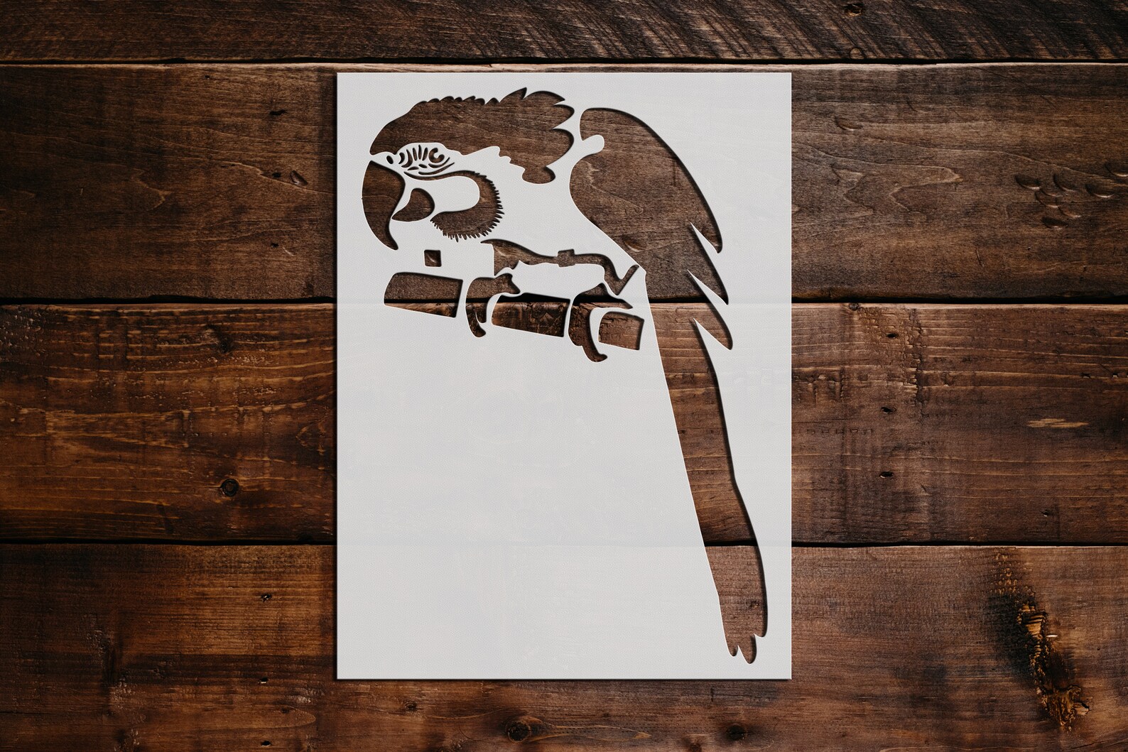 Parrot Stencil Reusable Parrot Stencil Art Stencil DIY | Etsy