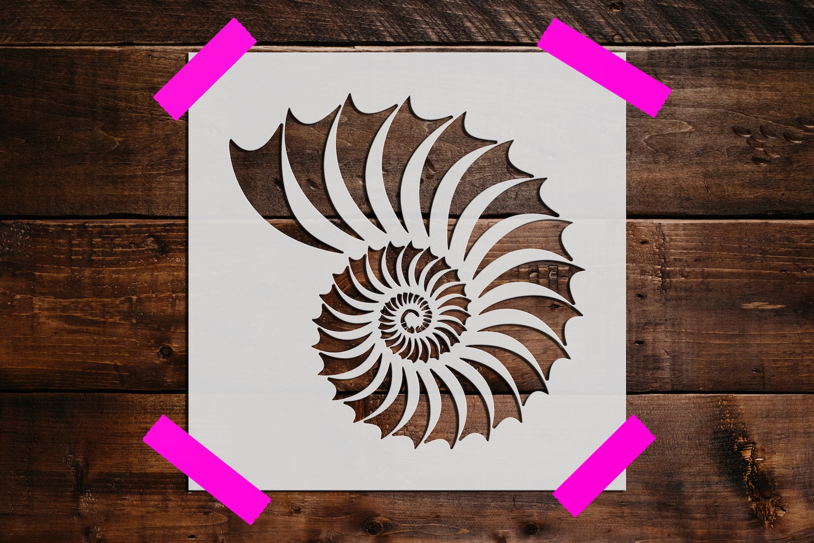 Shell Stencil Reusable Shell Stencil Art Stencil DIY Craft - Etsy