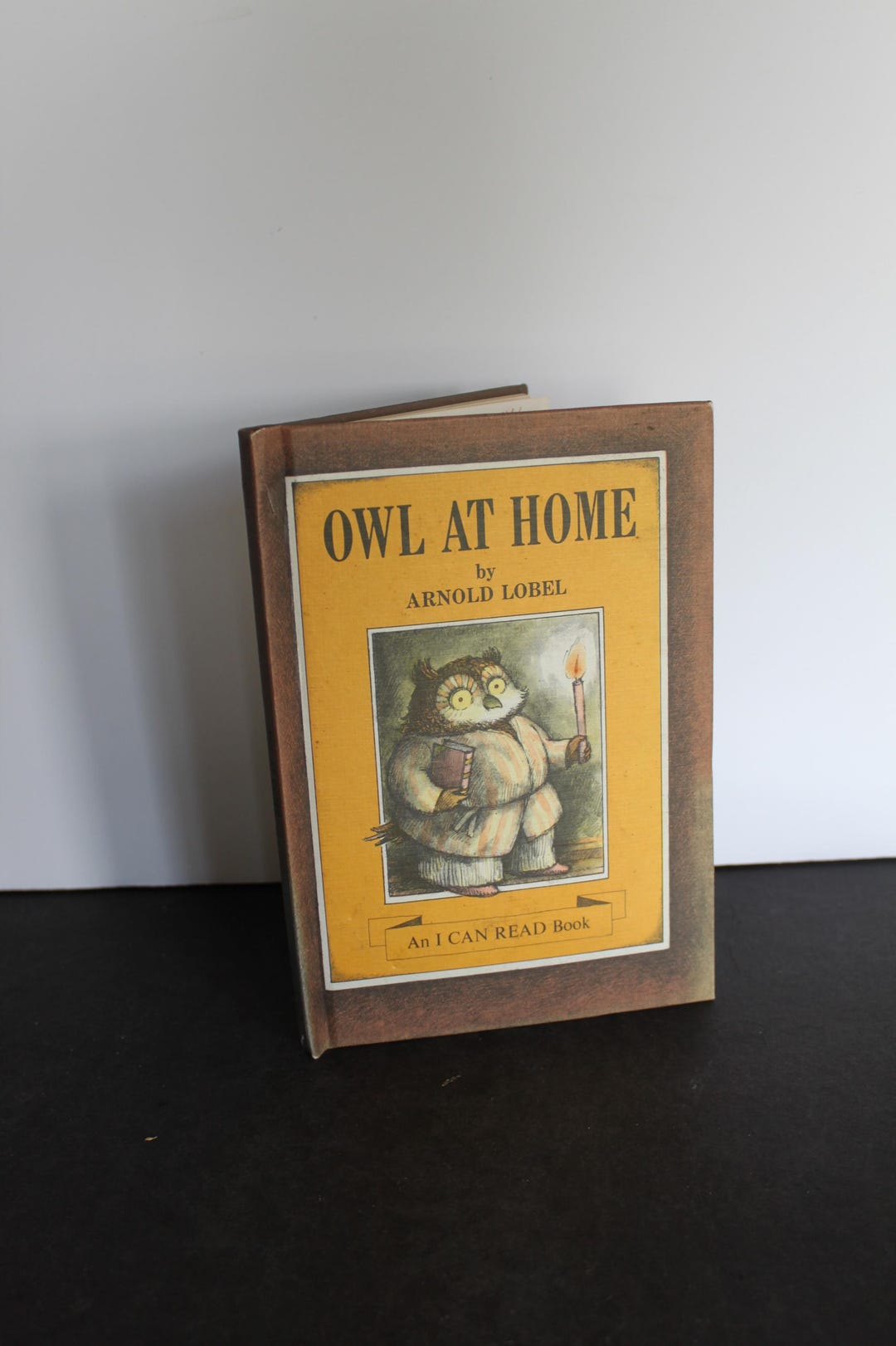 Vintage Owl at Home Book. Hard Cover, 1975 Weekly Reader Books ...