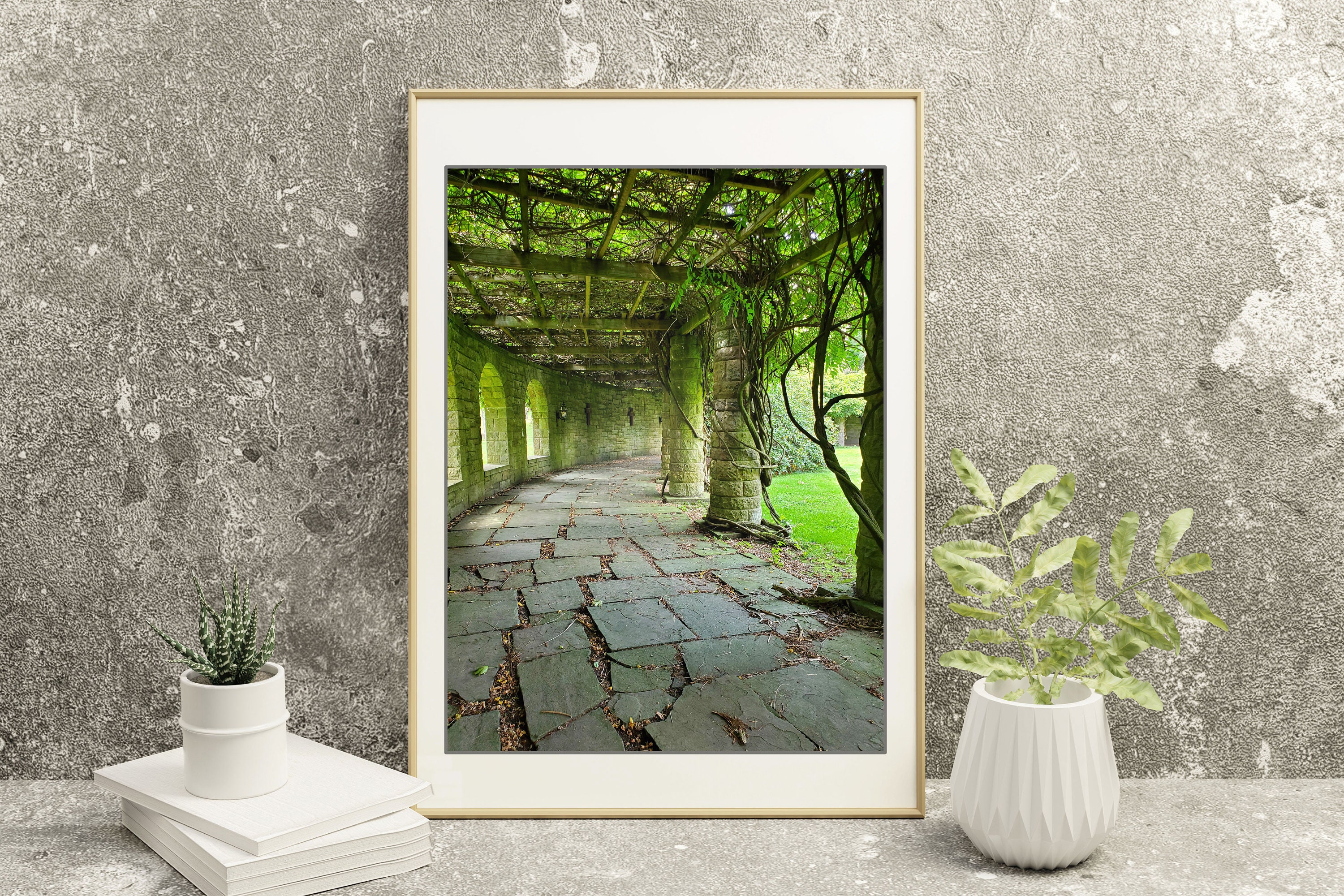 Pathway Photo - Etsy
