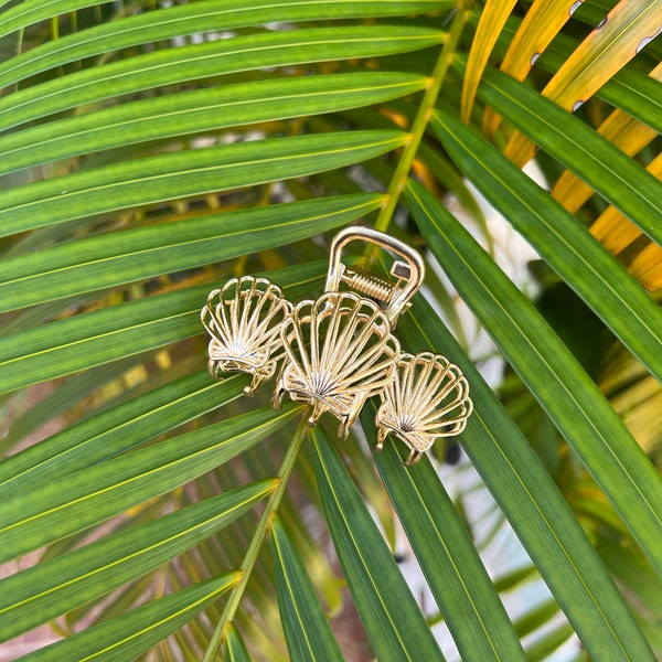 Seashell Hair Clip - Etsy