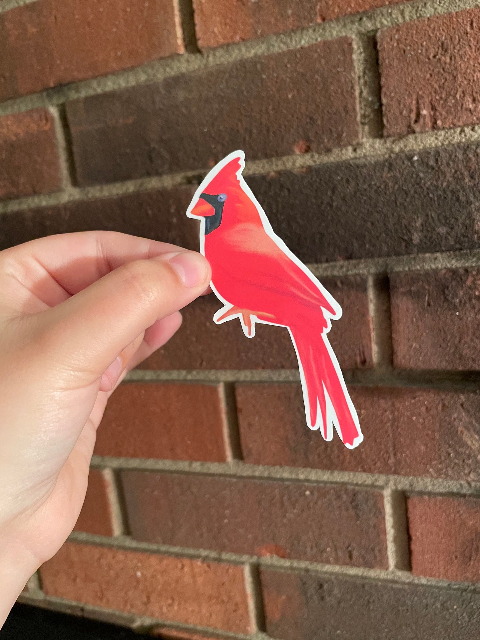 Waterproof Cardinal Bird Sticker | Etsy