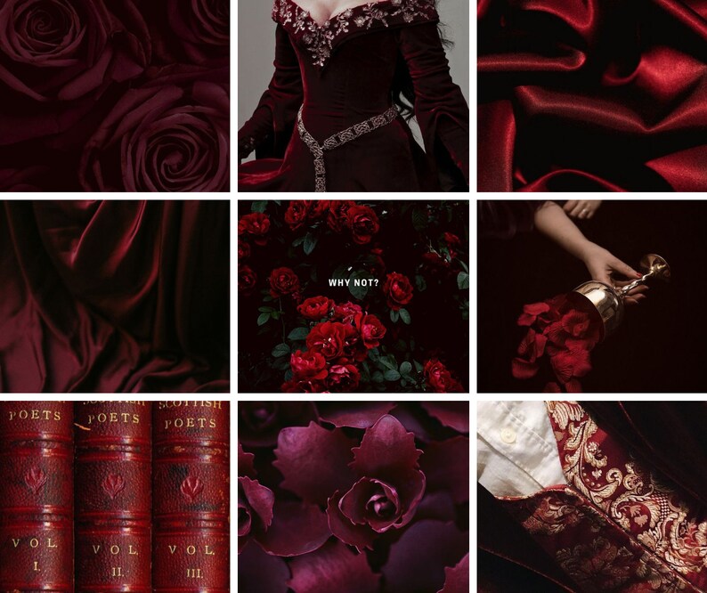 Royalcore Aesthetic Wall Collage Kit, Red Room Decor, Collage Kit Wall ...