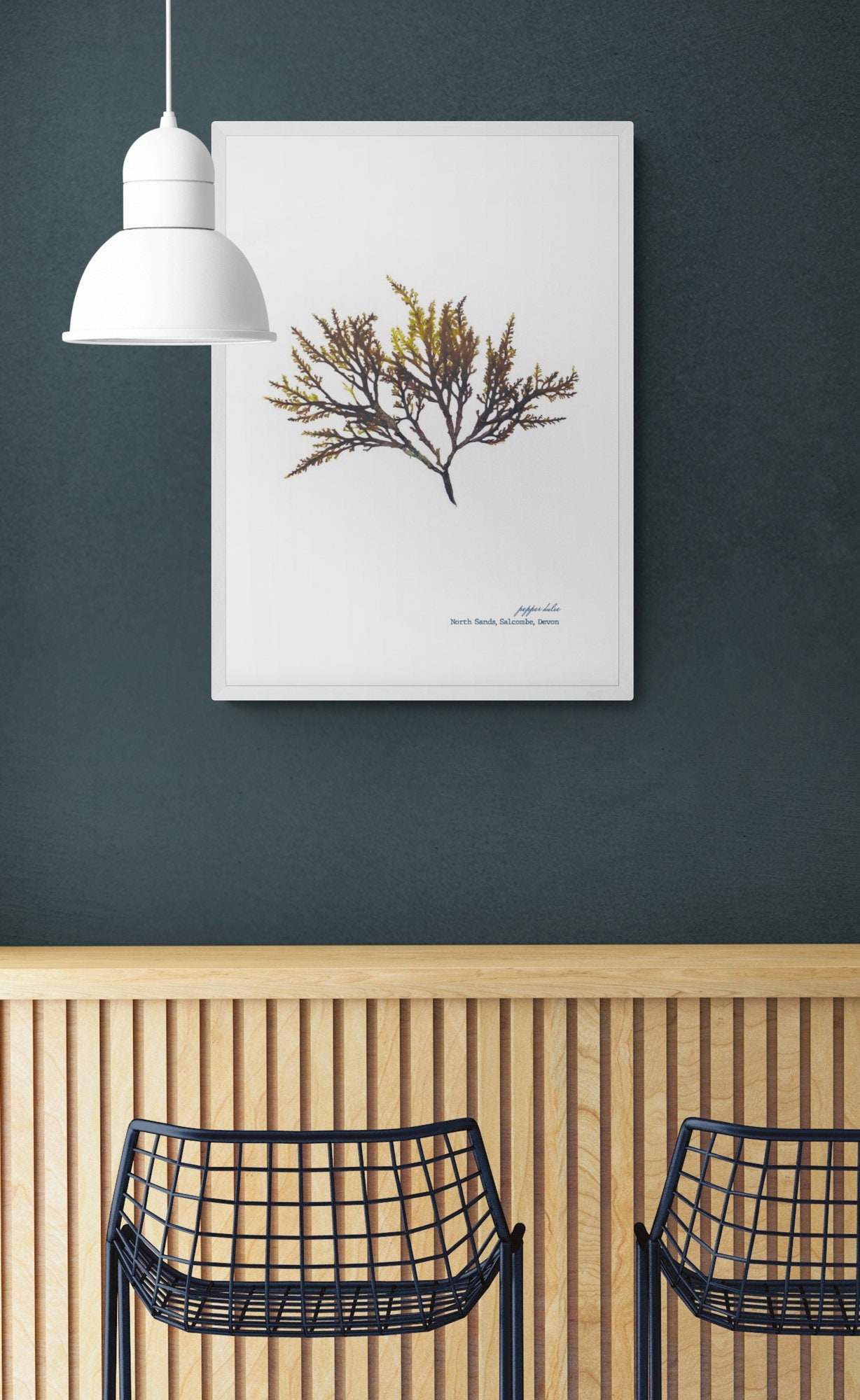 Pepper Dulse Hand Pressed Seaweed Print Salcombe Botanical - Etsy UK