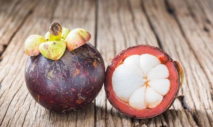 Mangosteen - Etsy