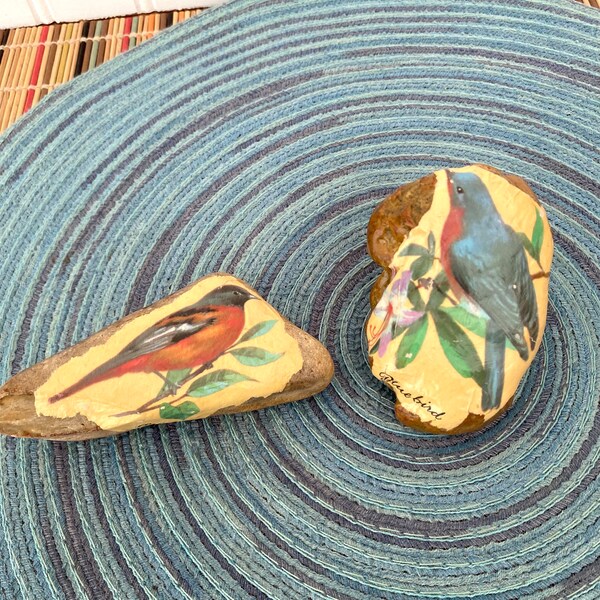 Painted Rocks Birds - Etsy