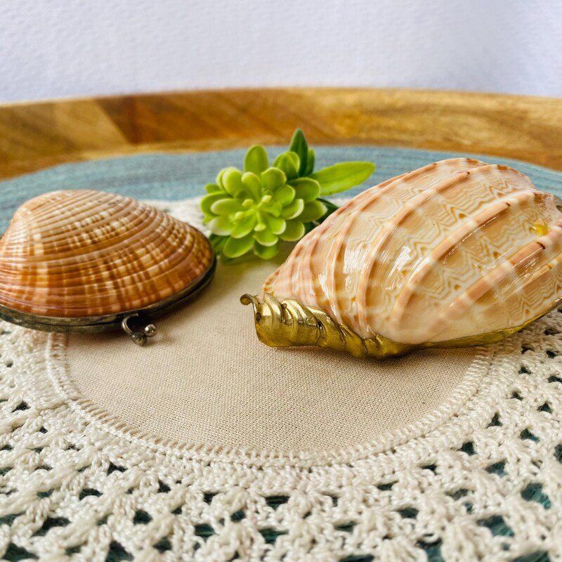 Shell Coin Purse - Etsy