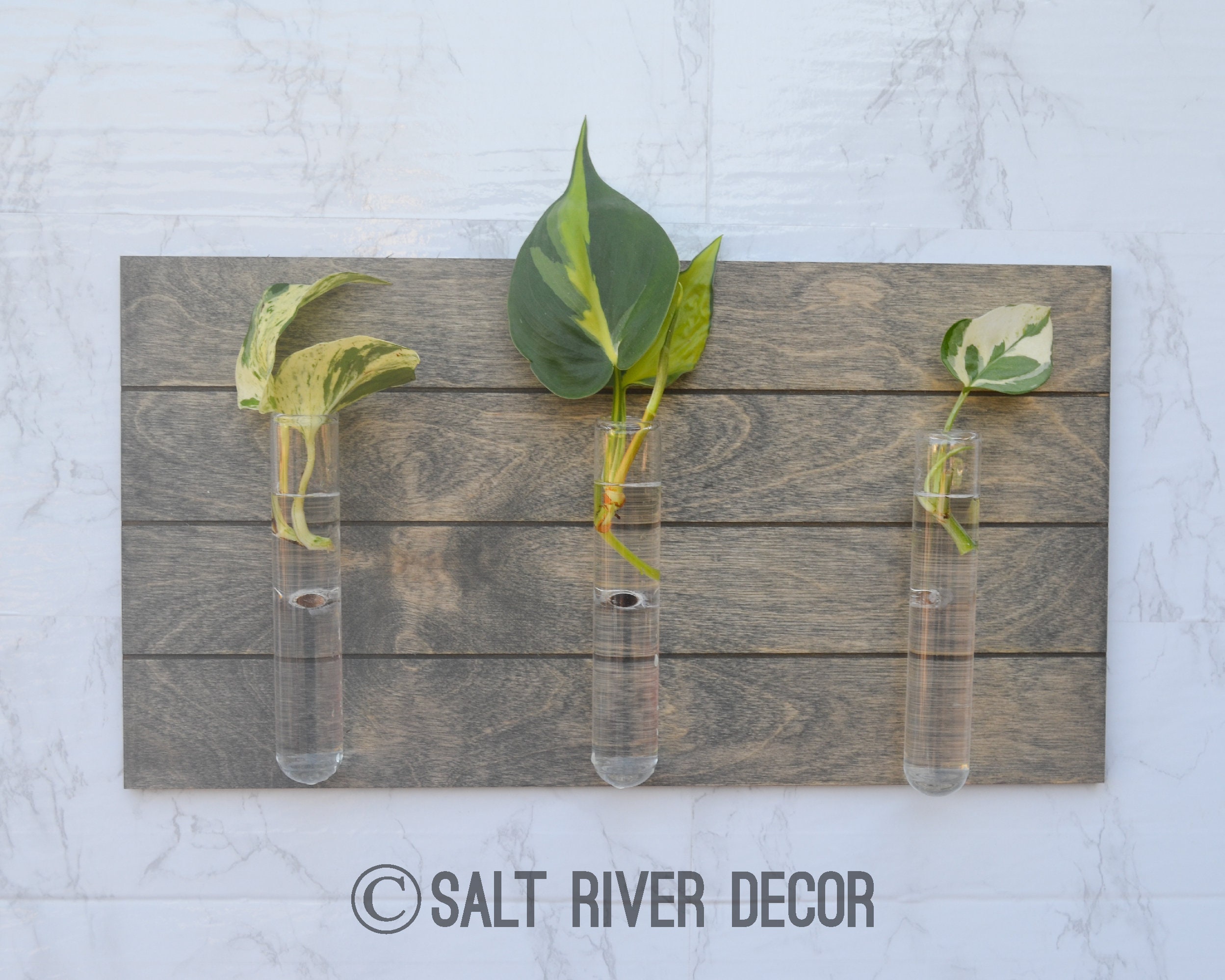 Plant Propagation Wood Shiplap Sign NO PLANTS INCLUDED Plant Art Wall ...