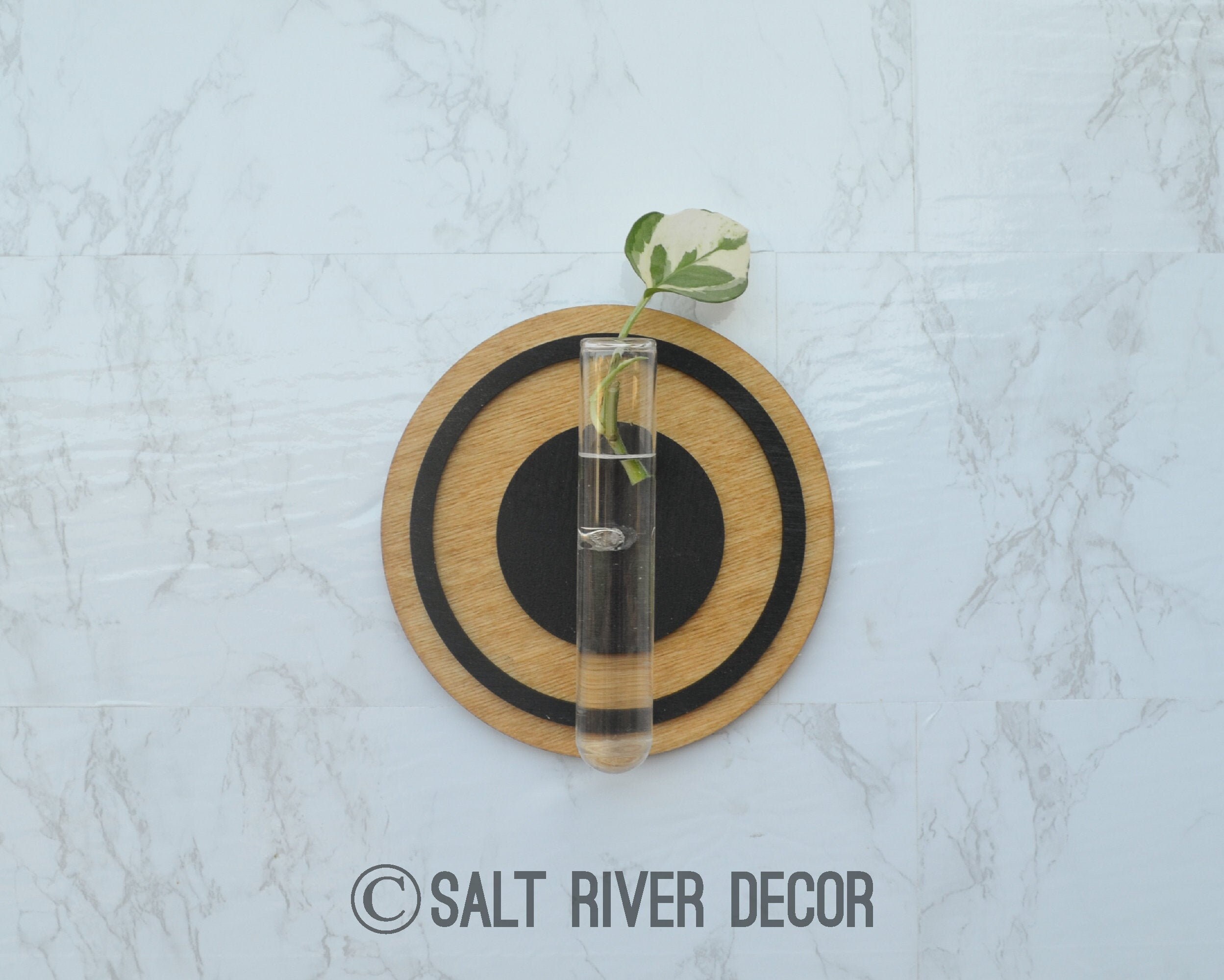 Plant Propagation Wood Double Circle Sign NO PLANTS INCLUDED Plant Wall ...