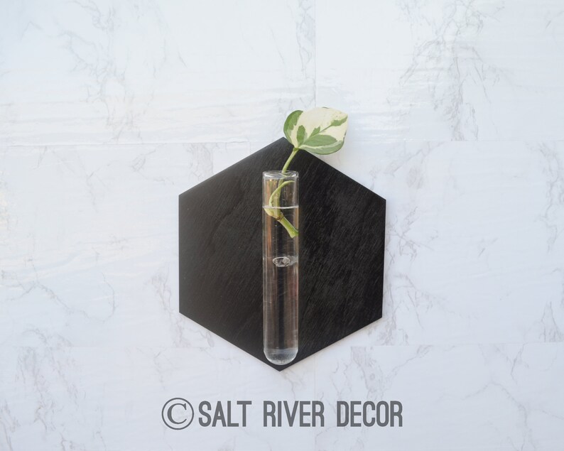 Plant Propagation Wood Hexagon Sign NO PLANTS INCLUDED Plant Art Wall ...