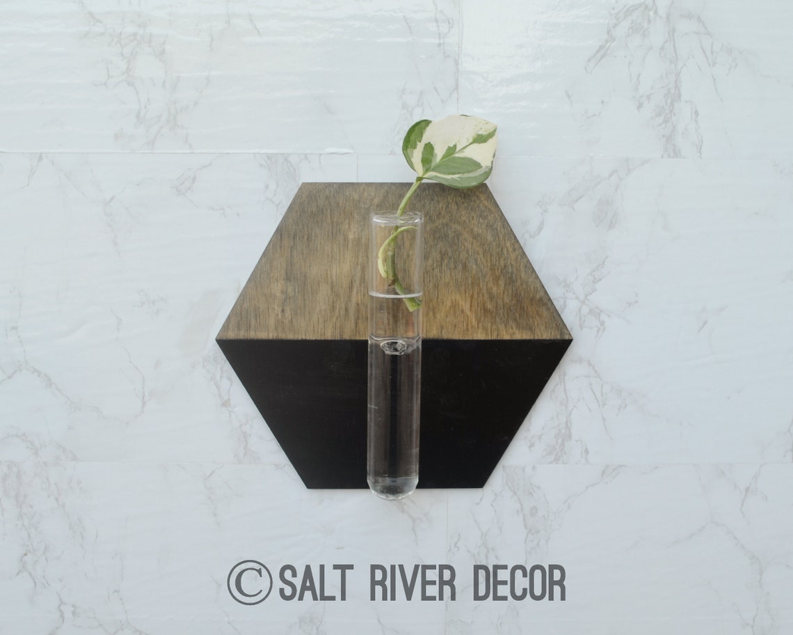 Plant Propagation Wood Hexagon Sign NO PLANTS INCLUDED Plant Art Wall ...