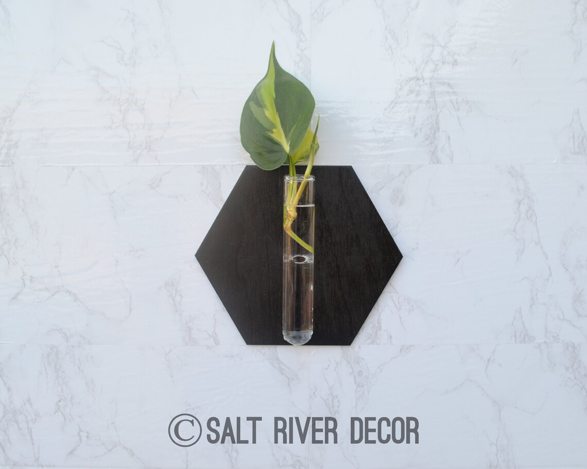 Plant Propagation Wood Hexagon Sign NO PLANTS INCLUDED Plant Art Wall ...