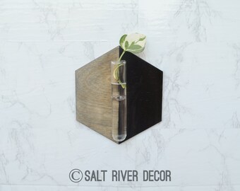 Plant Propagation Wood Double Circle Sign NO PLANTS INCLUDED Plant Wall ...