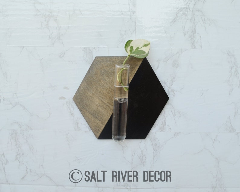 Plant Propagation Wood Hexagon Sign NO PLANTS INCLUDED Plant Art Wall ...