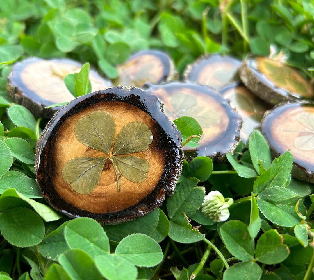Four Leaf Clover, Good Luck Charm, Wood Slices, Unique Gift, Wellness ...