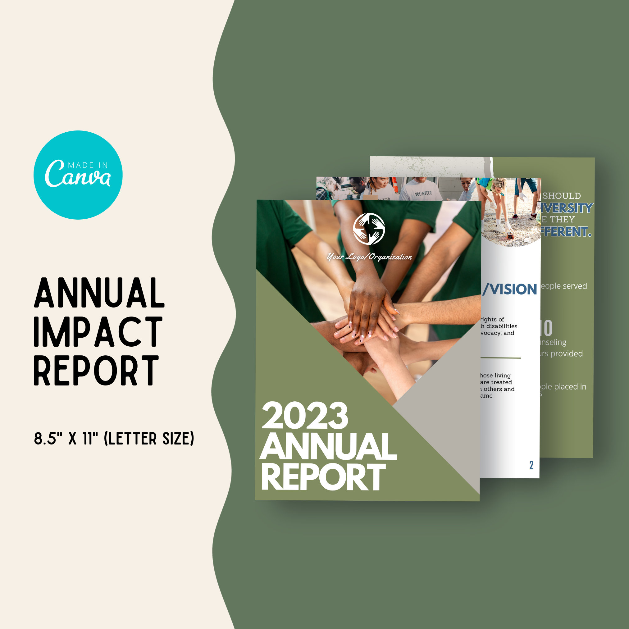 Nonprofit Annual Report, Impact, Financial, Instant Download, Digital, Printable, Editable ...