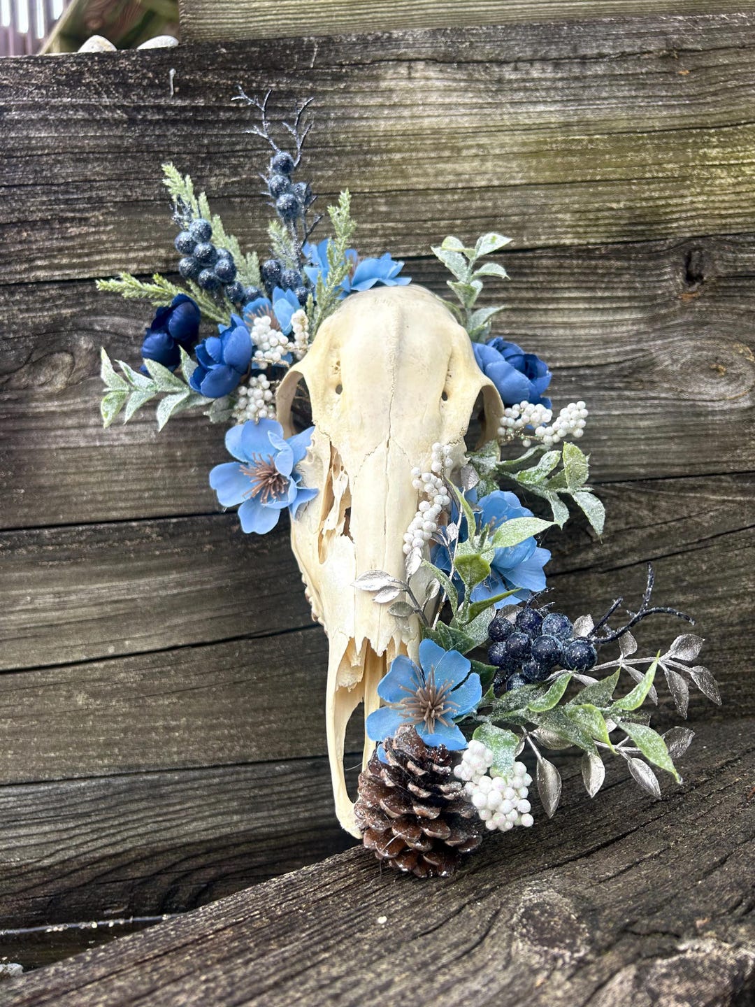 Winter Deer Skull - Etsy