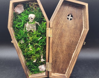 Coffin / Shelf / Display - Etsy