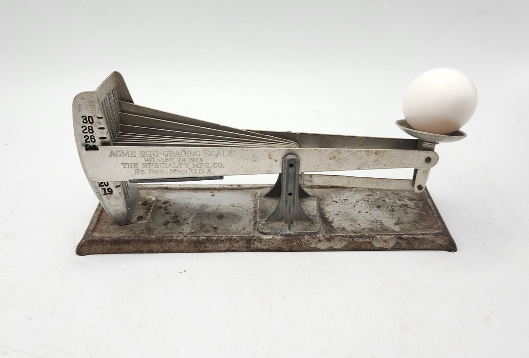 Acme Egg Grading Scale - Etsy