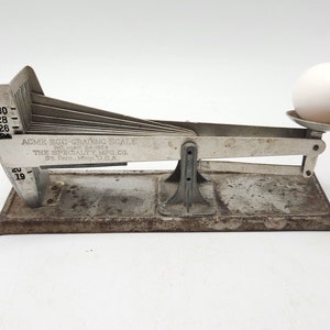 Acme Egg Grading Scale - Etsy