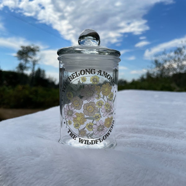 Glass Bell Jars - Etsy