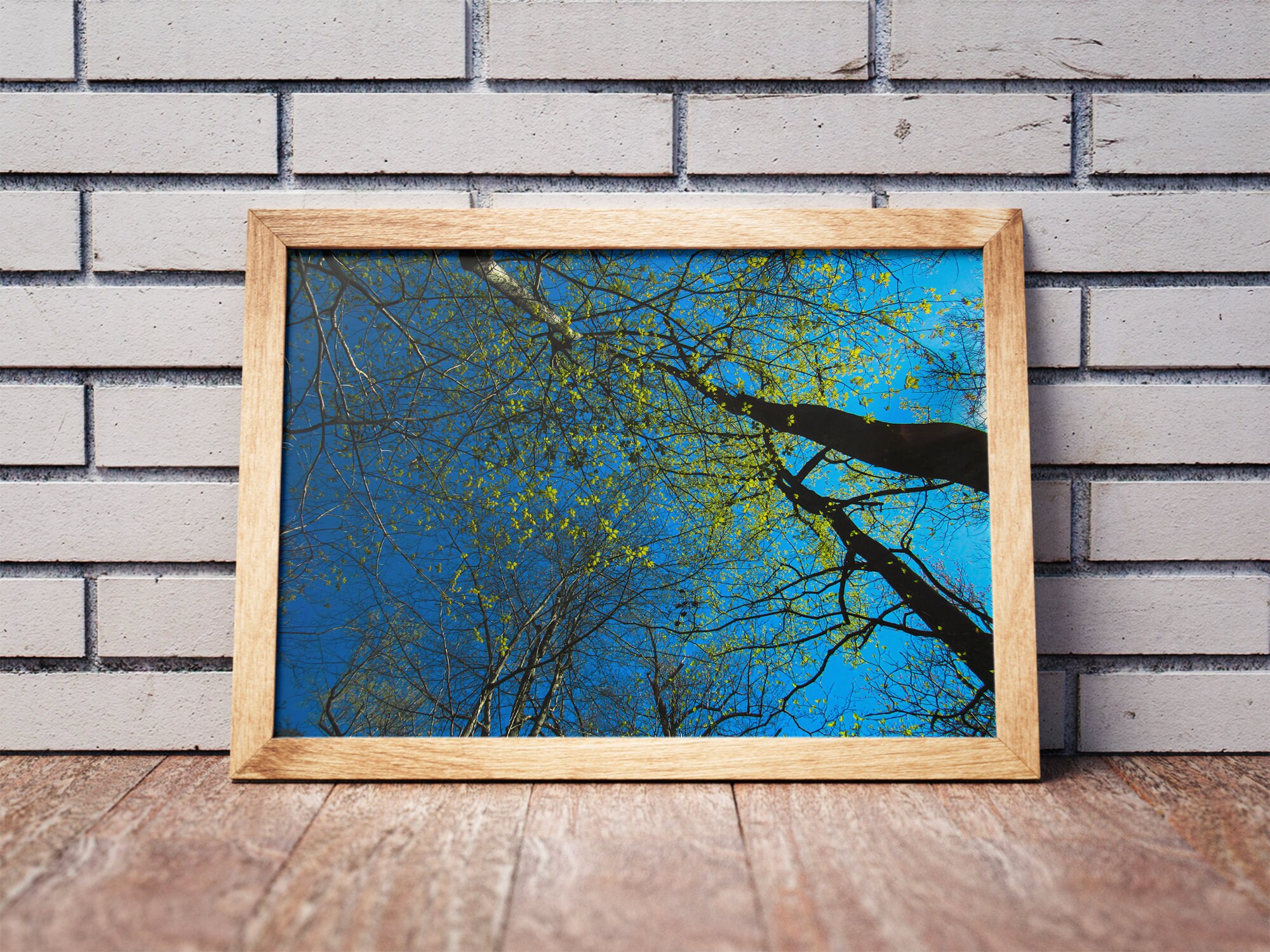 Tree Photography Print /nature Photography Prints / Nature Photography ...