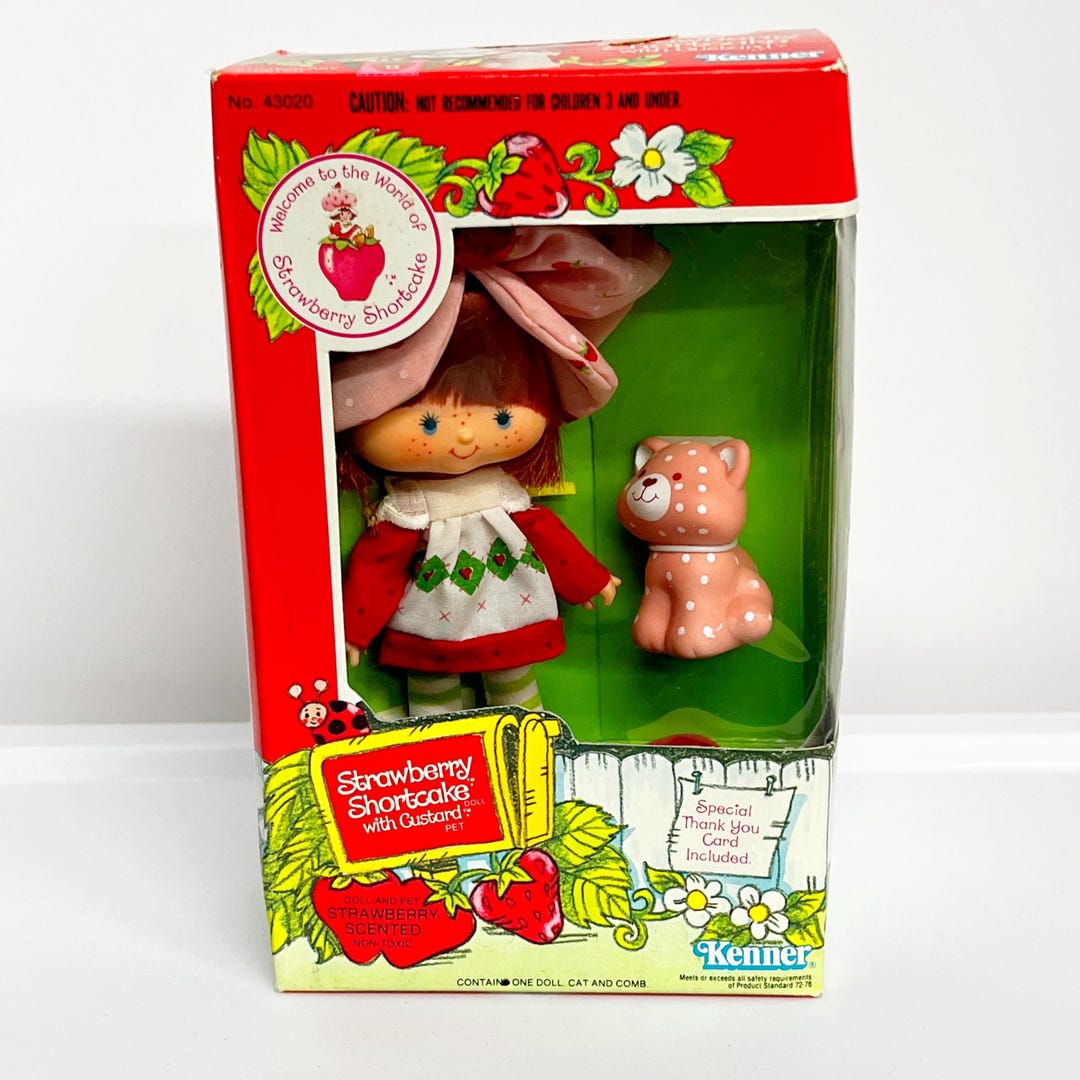Vintage 1980s Strawberry Shortcake and Custard Cat by Kenner New in ...