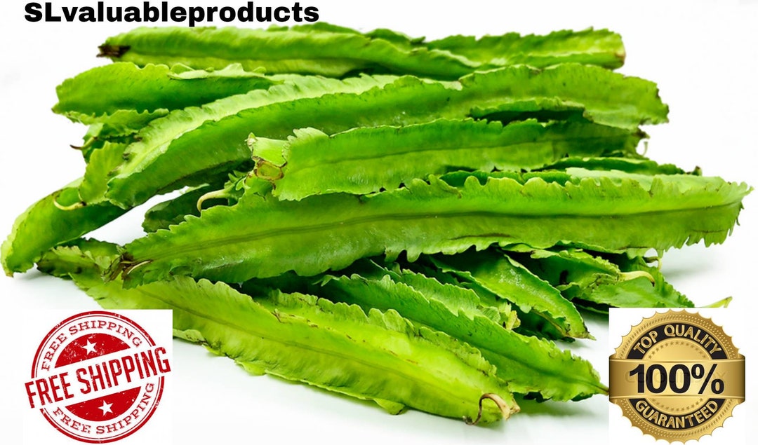 50 Winged Bean Seeds - Etsy