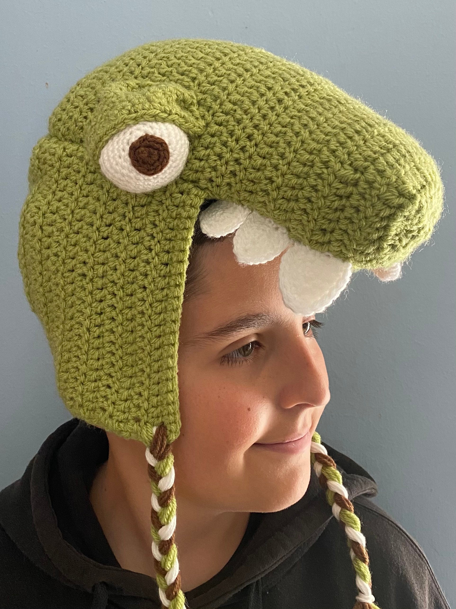 Spinosaurus Hat (in the Style of Dino Dana) - Etsy