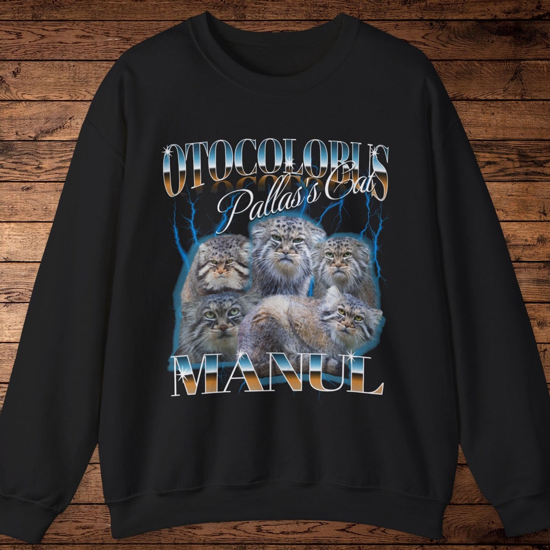 Grumpy Pallas's Cat Sweatshirt: 90s Bootleg Style Weirdcore Sweater - Etsy