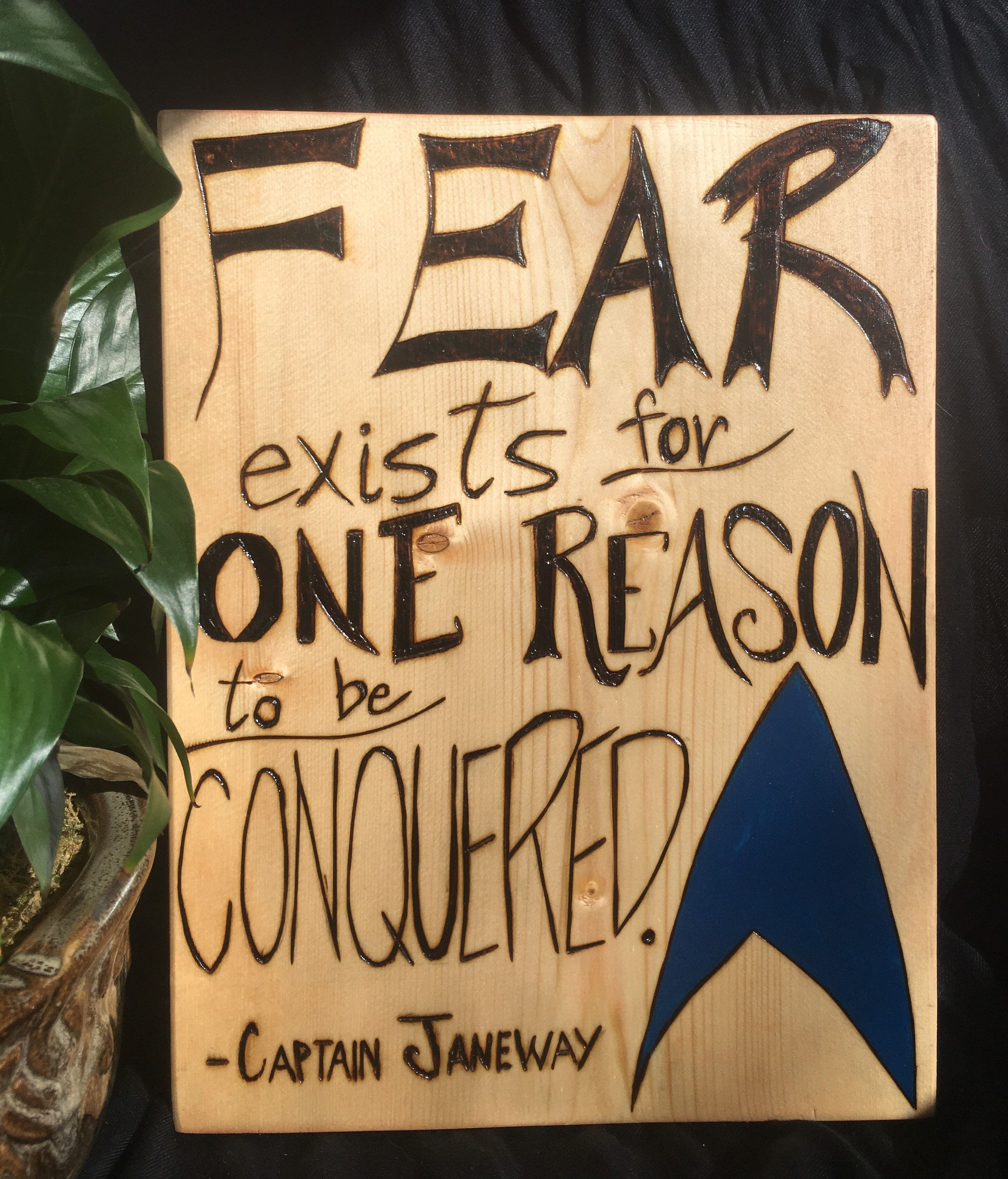 Captain Janeway Quotes