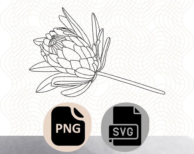 Protea Flower Svg Floral Logo, Svg Line Art, Instant Download, Floral ...