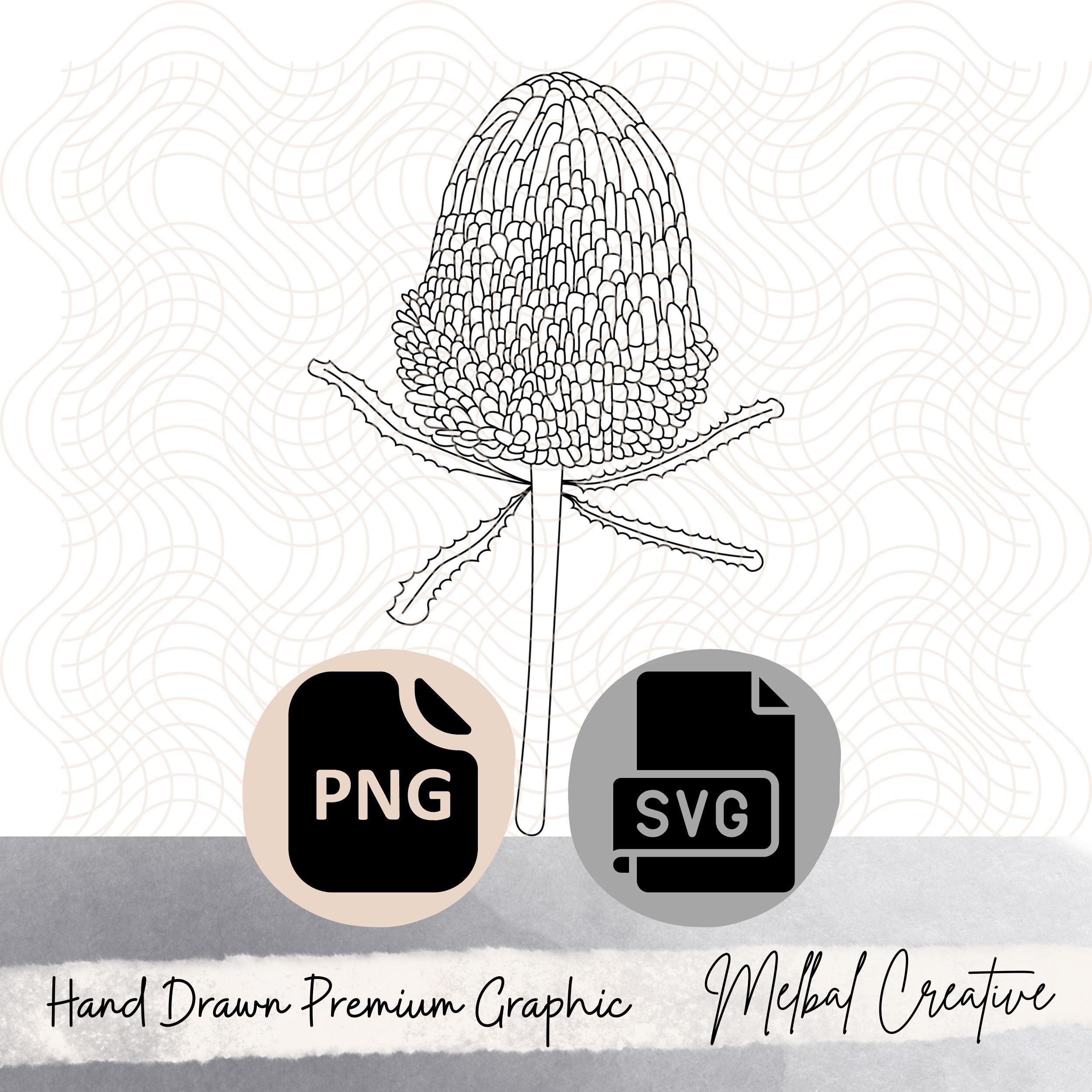 Banksia Flower Line Art | Australian Native, SVG PNG (digital Download ...